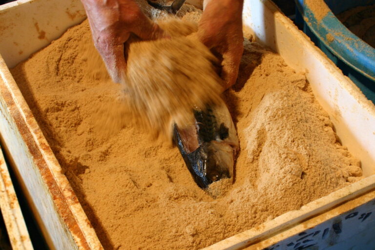 福井の伝統料理「へしこ」とは？ その歴史と魅力、へしこ料理が楽しめるお店、お土産・通販情報などを紹介 | 公式 美めぐりふくい